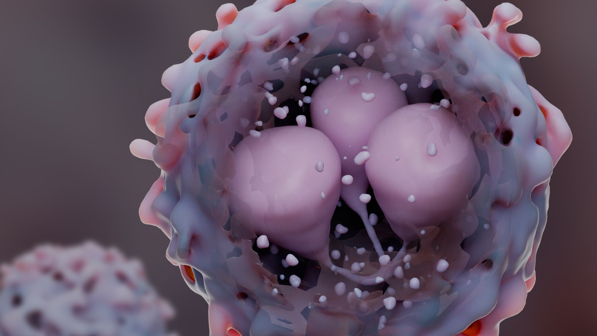 3D Neutrophil White Cell Model - TurboSquid 2344849