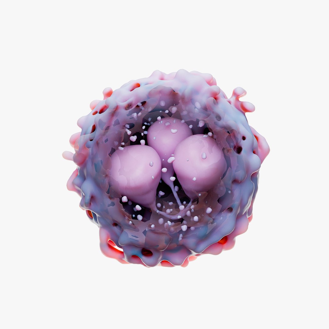 3D Neutrophil White Cell Model - TurboSquid 2344849