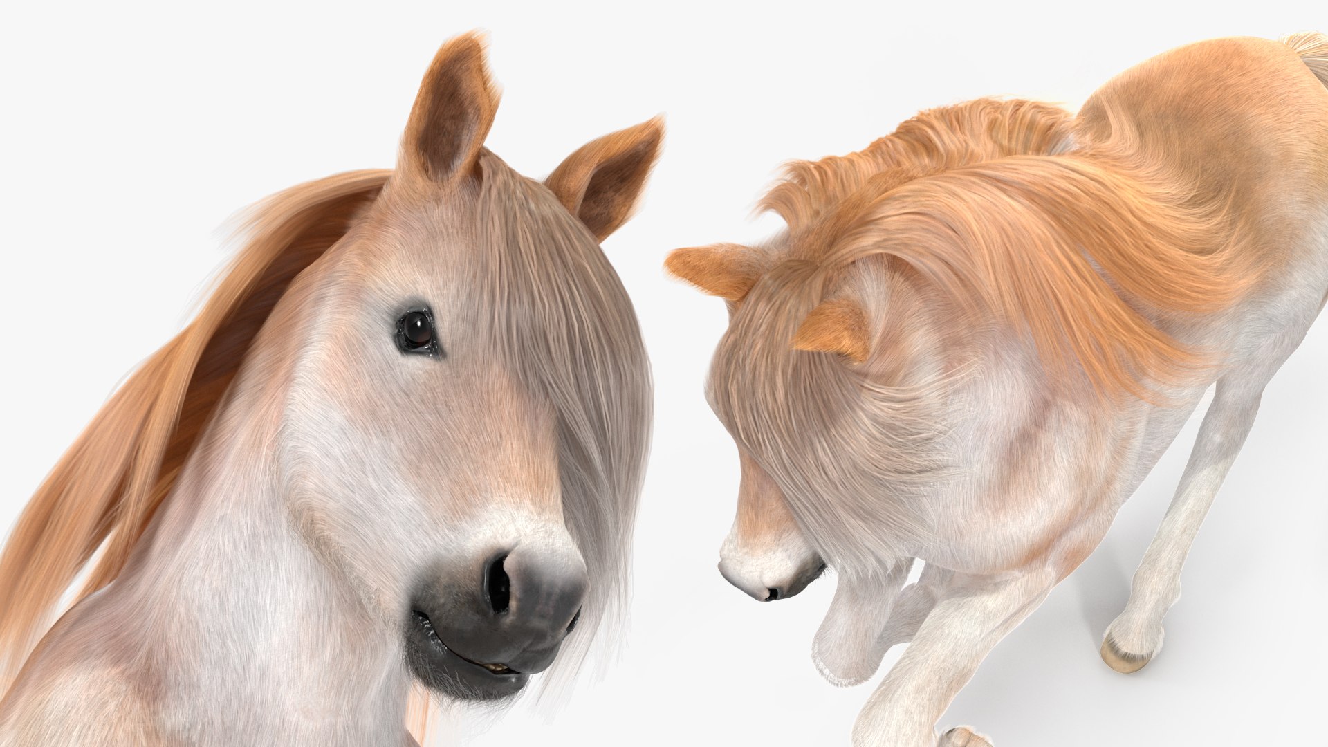 Galloping Pony With Long Mane Fur 3D - TurboSquid 2236580