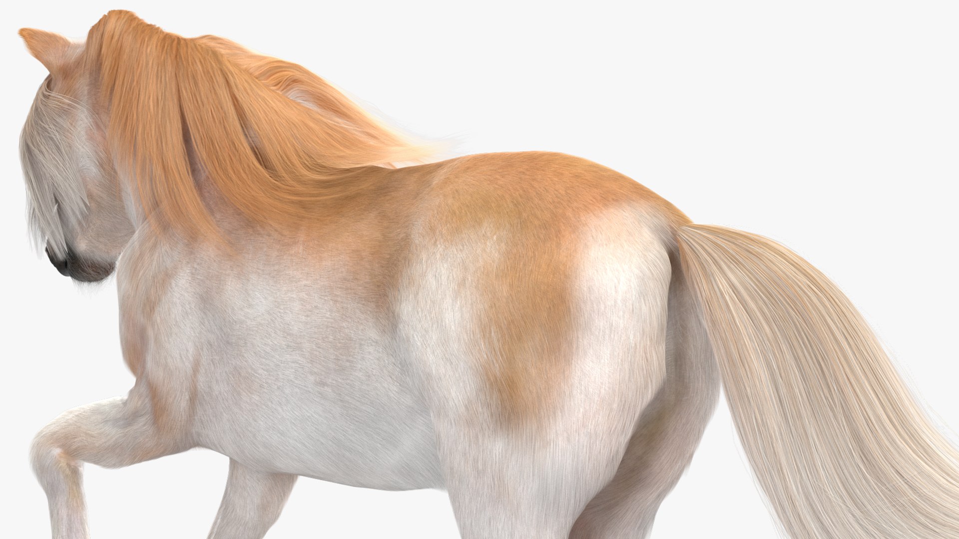 Galloping Pony With Long Mane Fur 3D - TurboSquid 2236580