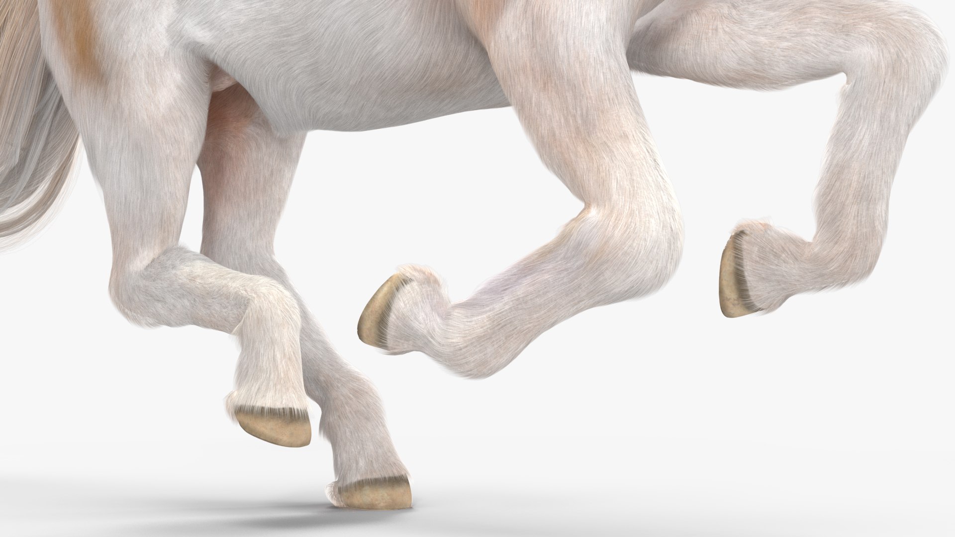 Galloping Pony With Long Mane Fur 3D - TurboSquid 2236580