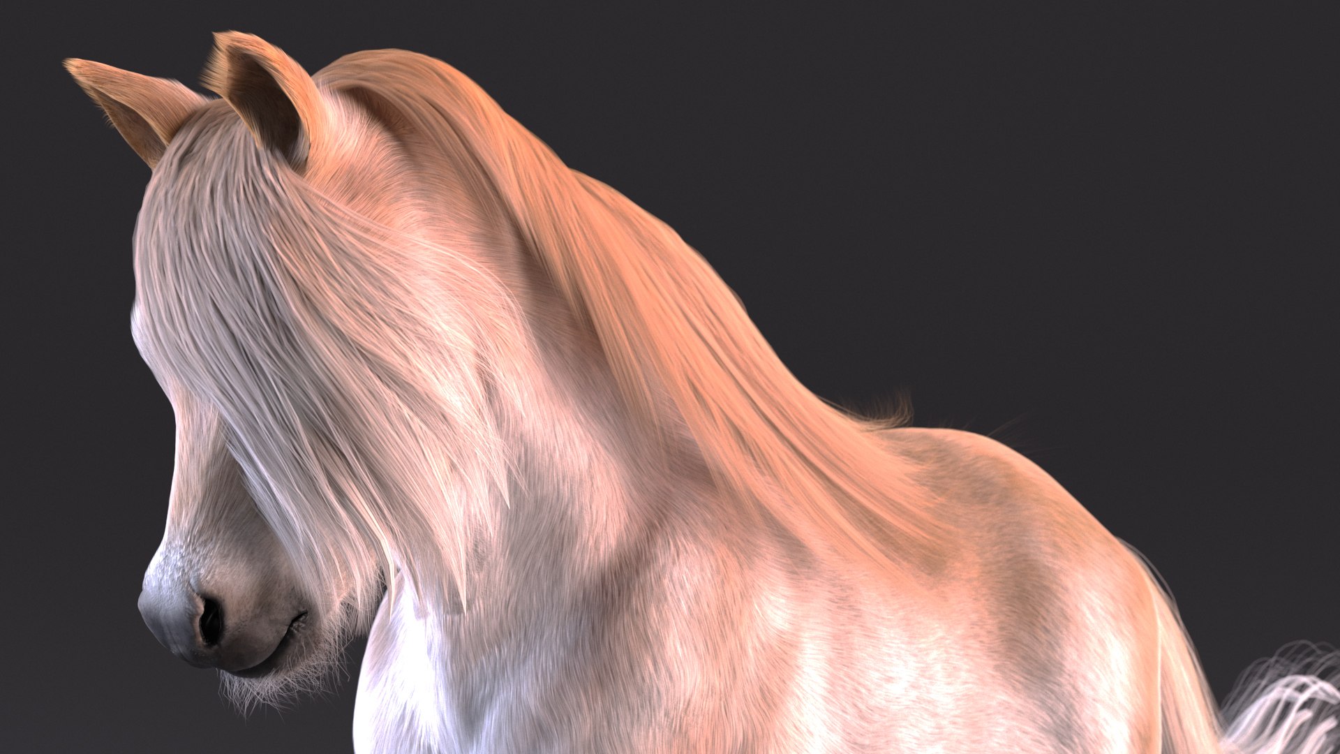 Galloping Pony With Long Mane Fur 3D - TurboSquid 2236580