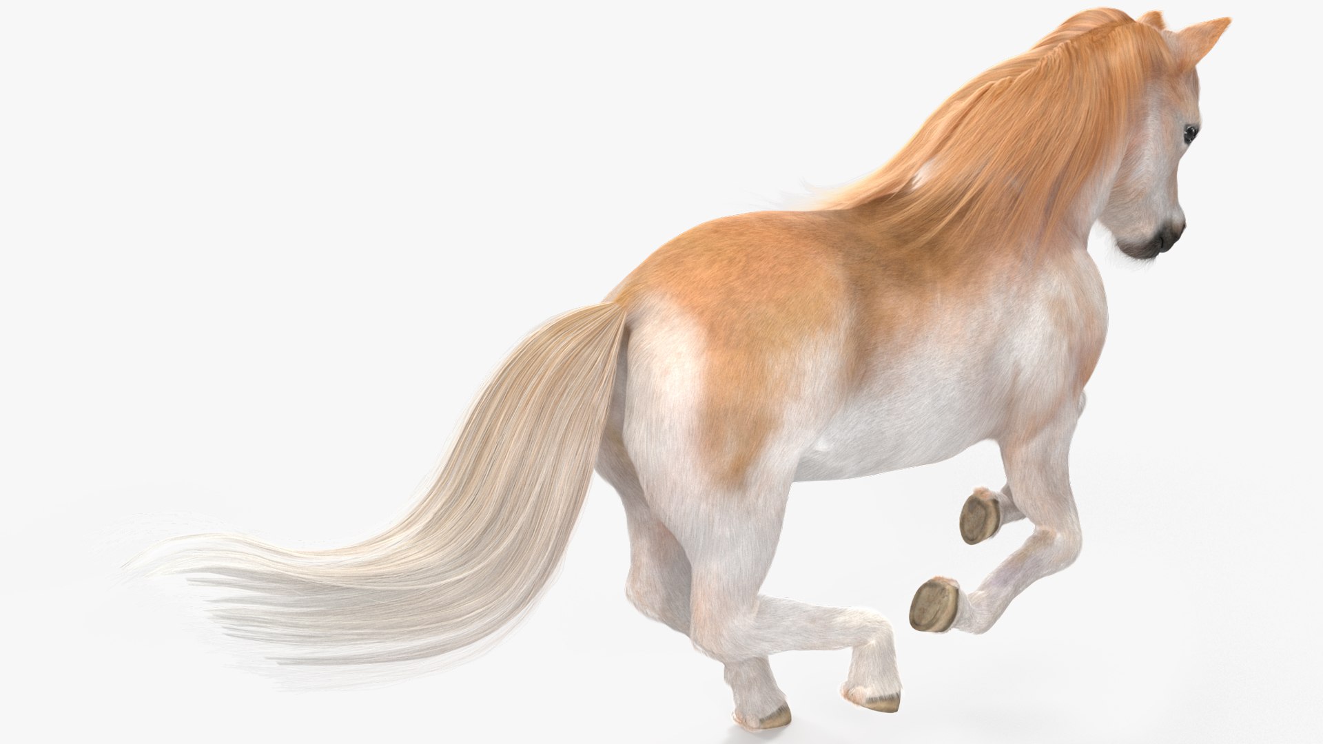Galloping Pony With Long Mane Fur 3D - TurboSquid 2236580