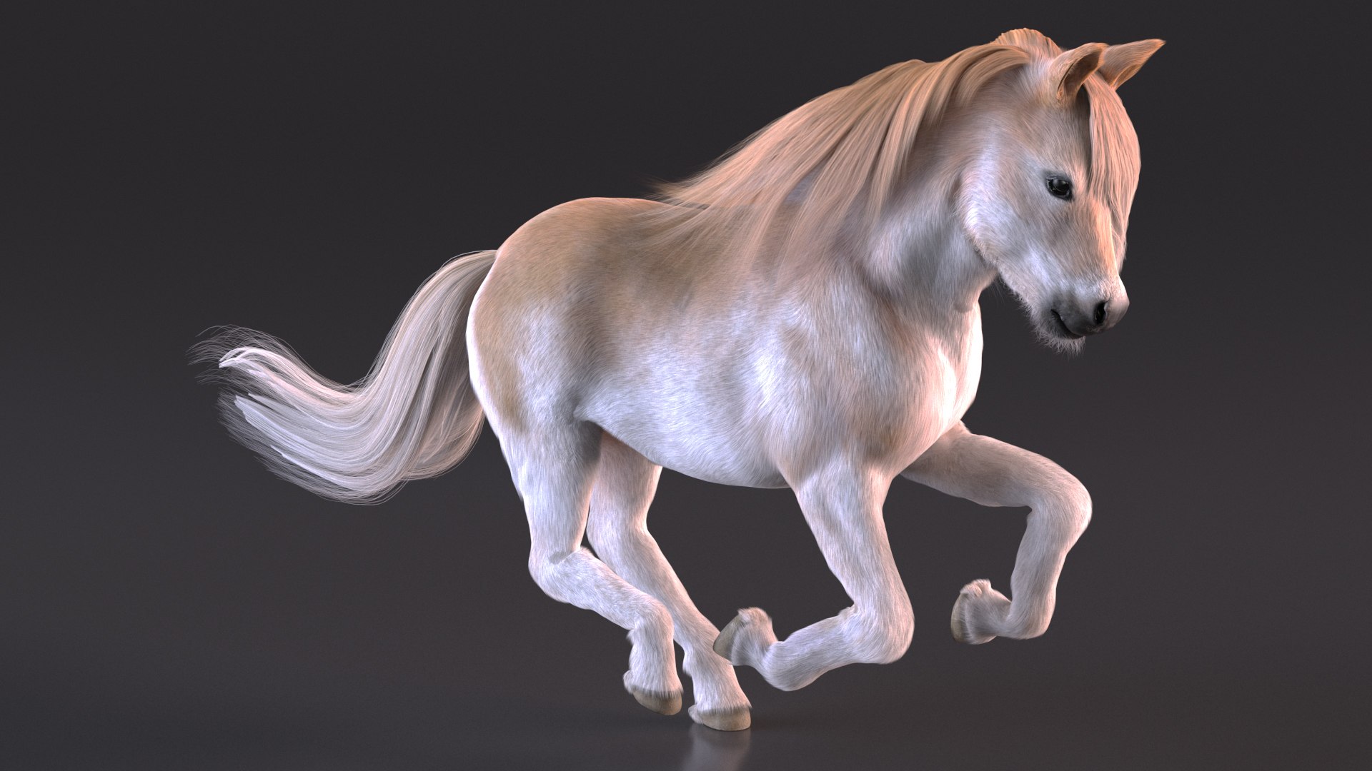 Galloping Pony With Long Mane Fur 3D - TurboSquid 2236580