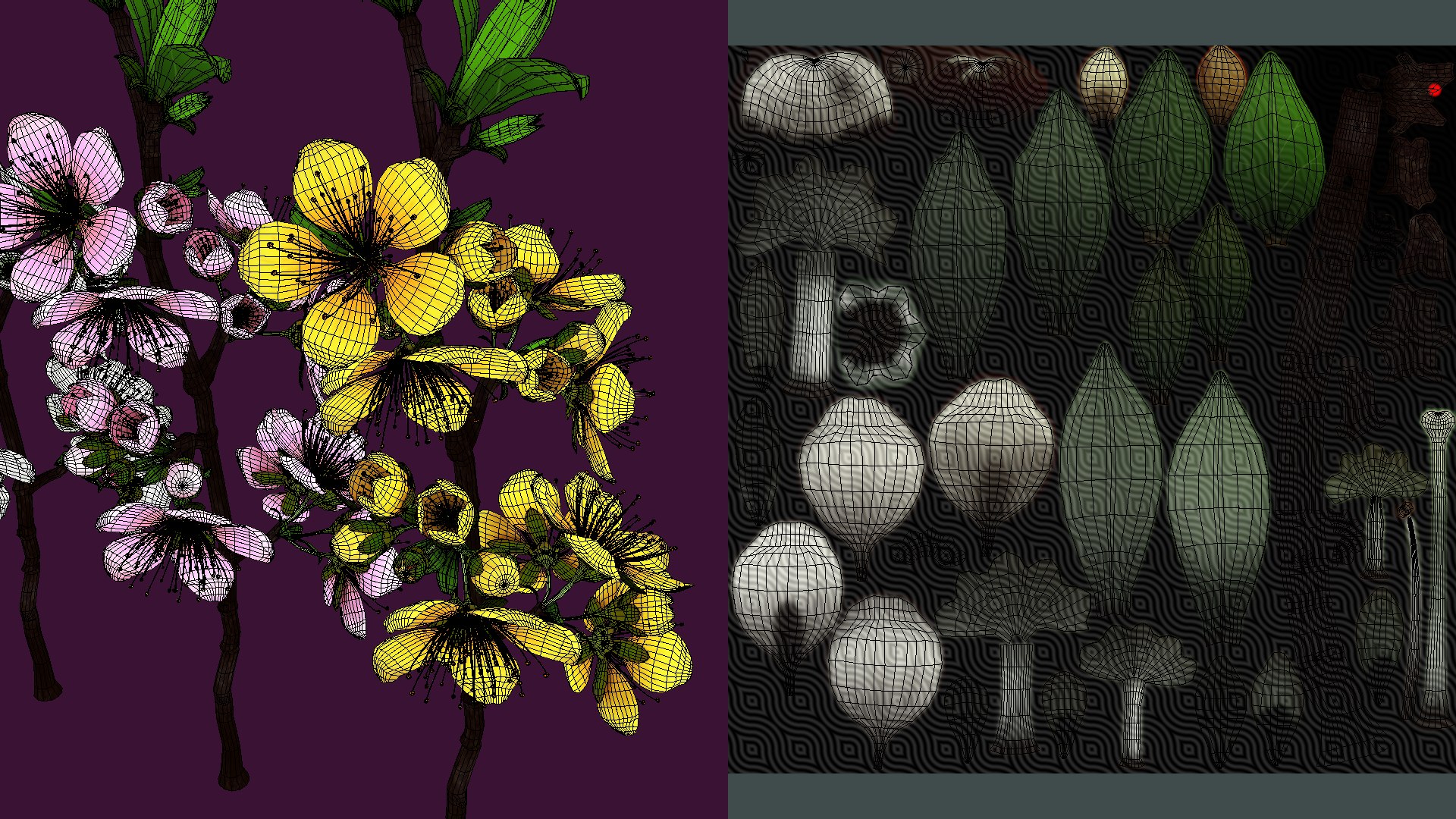 Flower Prunus Mume 3D Model - TurboSquid 2132172