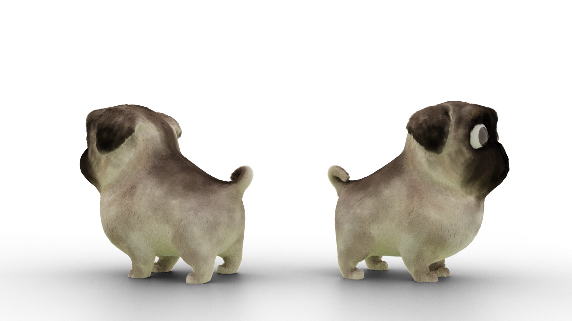 Pug Dog Model - TurboSquid 1835063