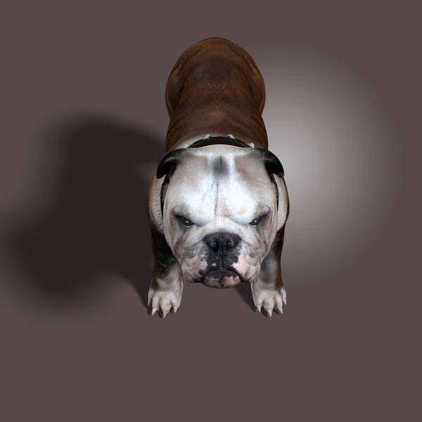 bulldog rigged obj