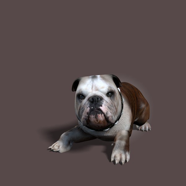 bulldog rigged obj