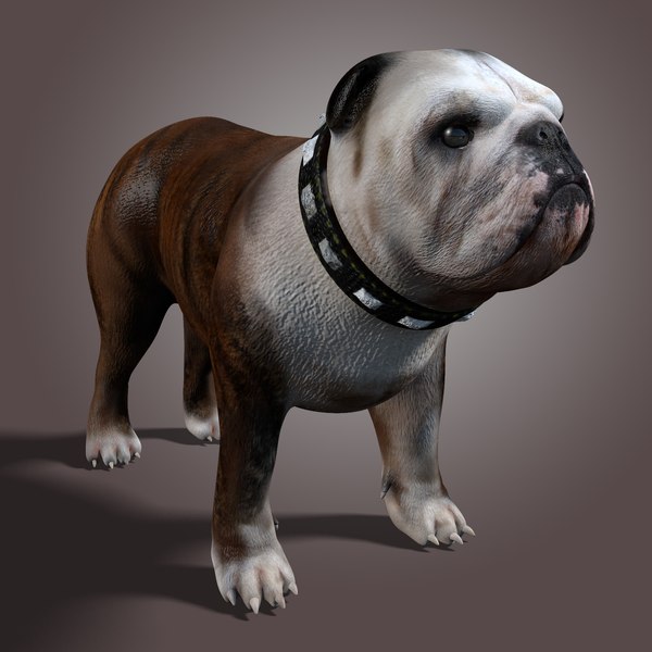 bulldog rigged obj