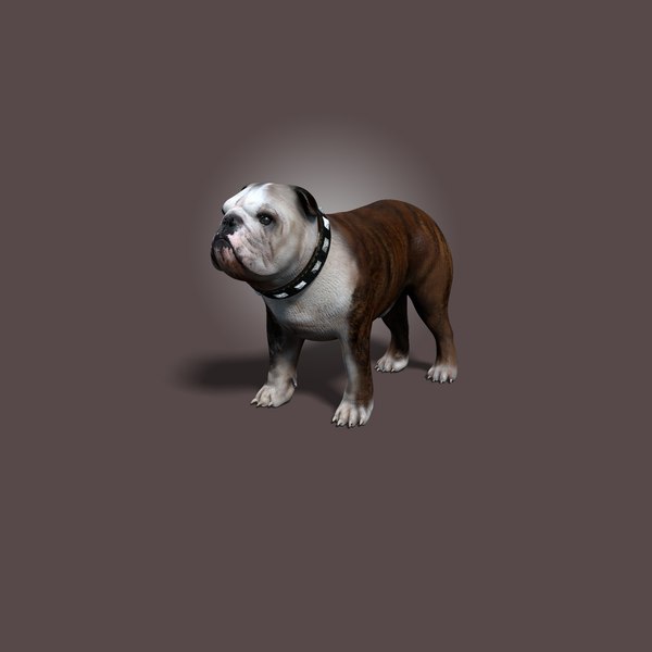 bulldog rigged obj