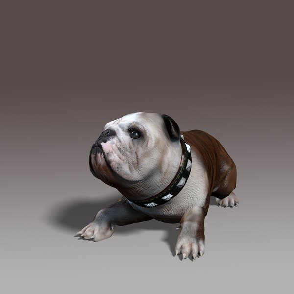 bulldog rigged obj