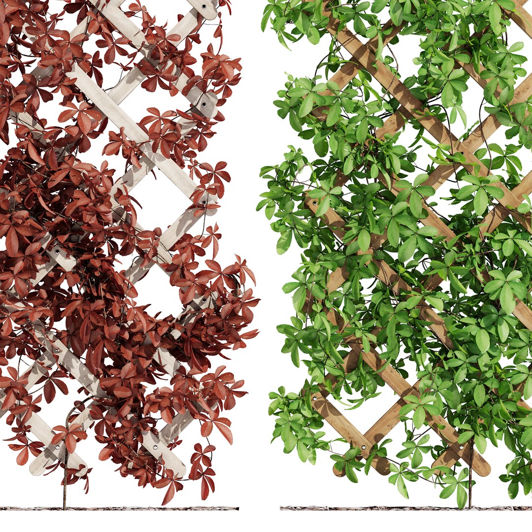 3D Model Trellis Askholmen - TurboSquid 1818540