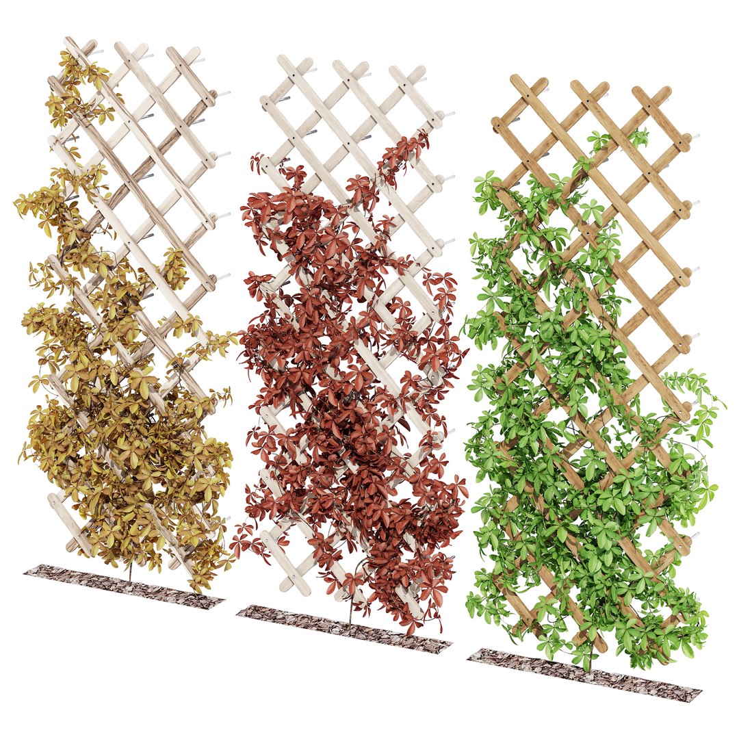3D Model Trellis Askholmen - TurboSquid 1818540