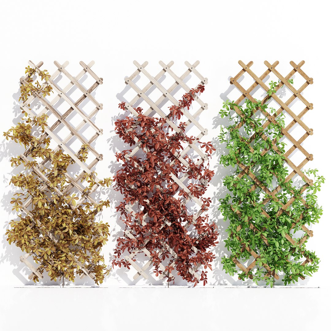 3D Model Trellis Askholmen - TurboSquid 1818540