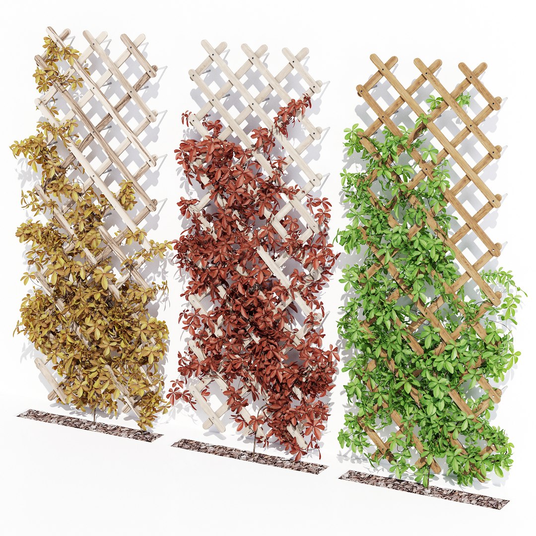 3D Model Trellis Askholmen - TurboSquid 1818540