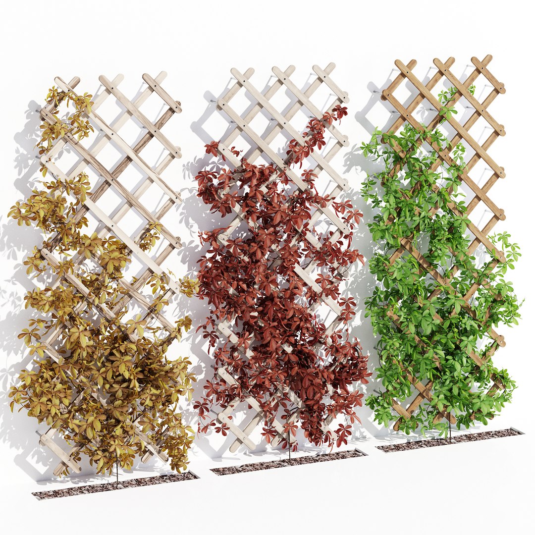 3D Model Trellis Askholmen - TurboSquid 1818540