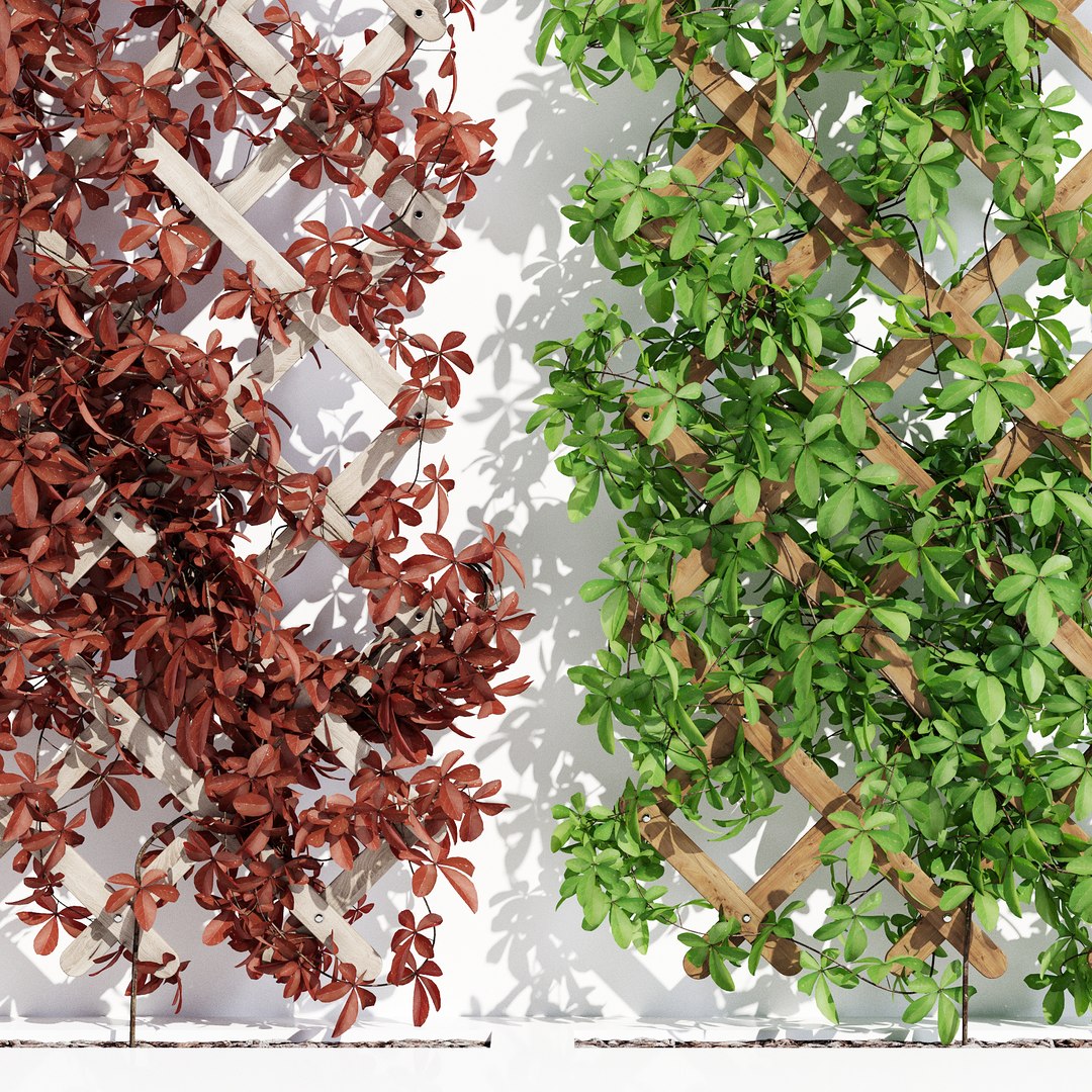 3D Model Trellis Askholmen - TurboSquid 1818540