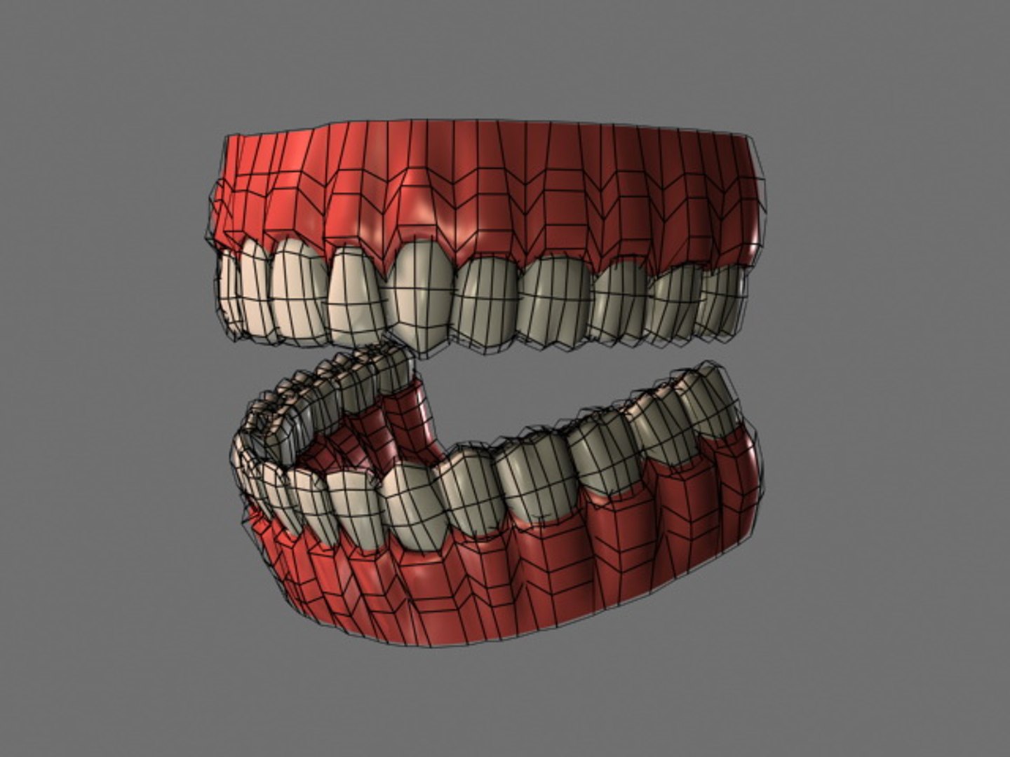 Human Teeth 3d Model