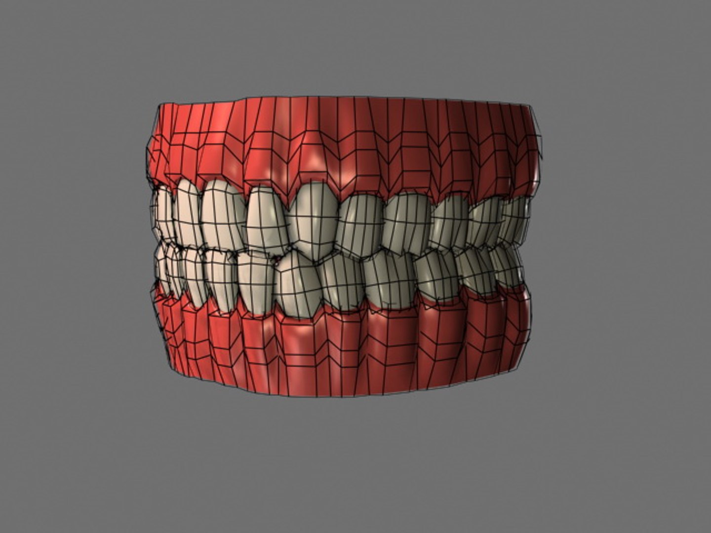 Human Teeth 3d Model