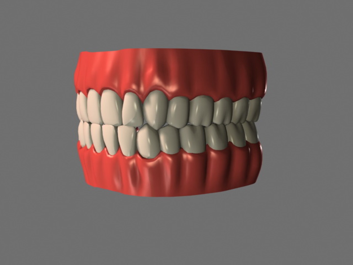 Human Teeth 3d Model