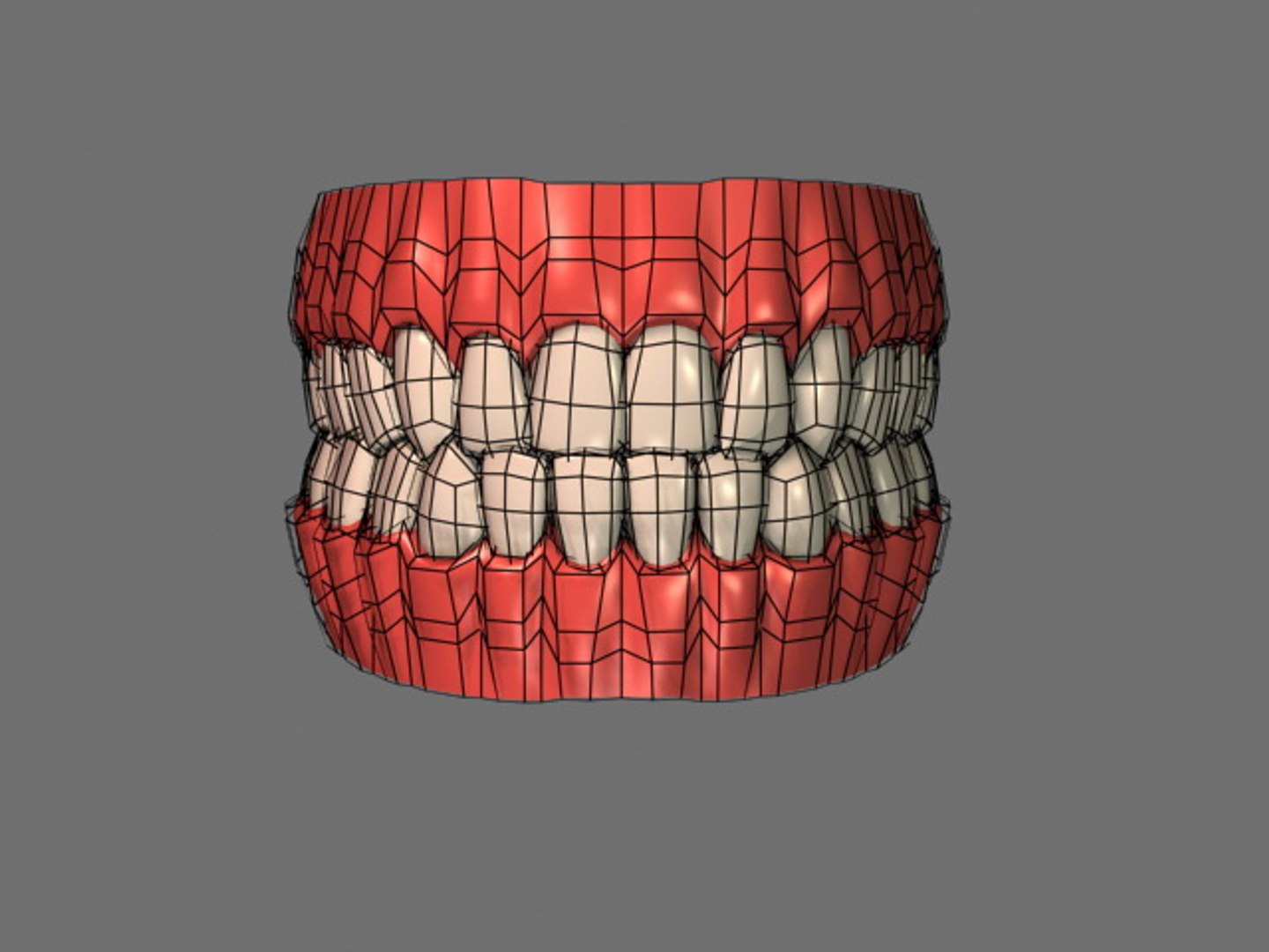 Human Teeth 3d Model