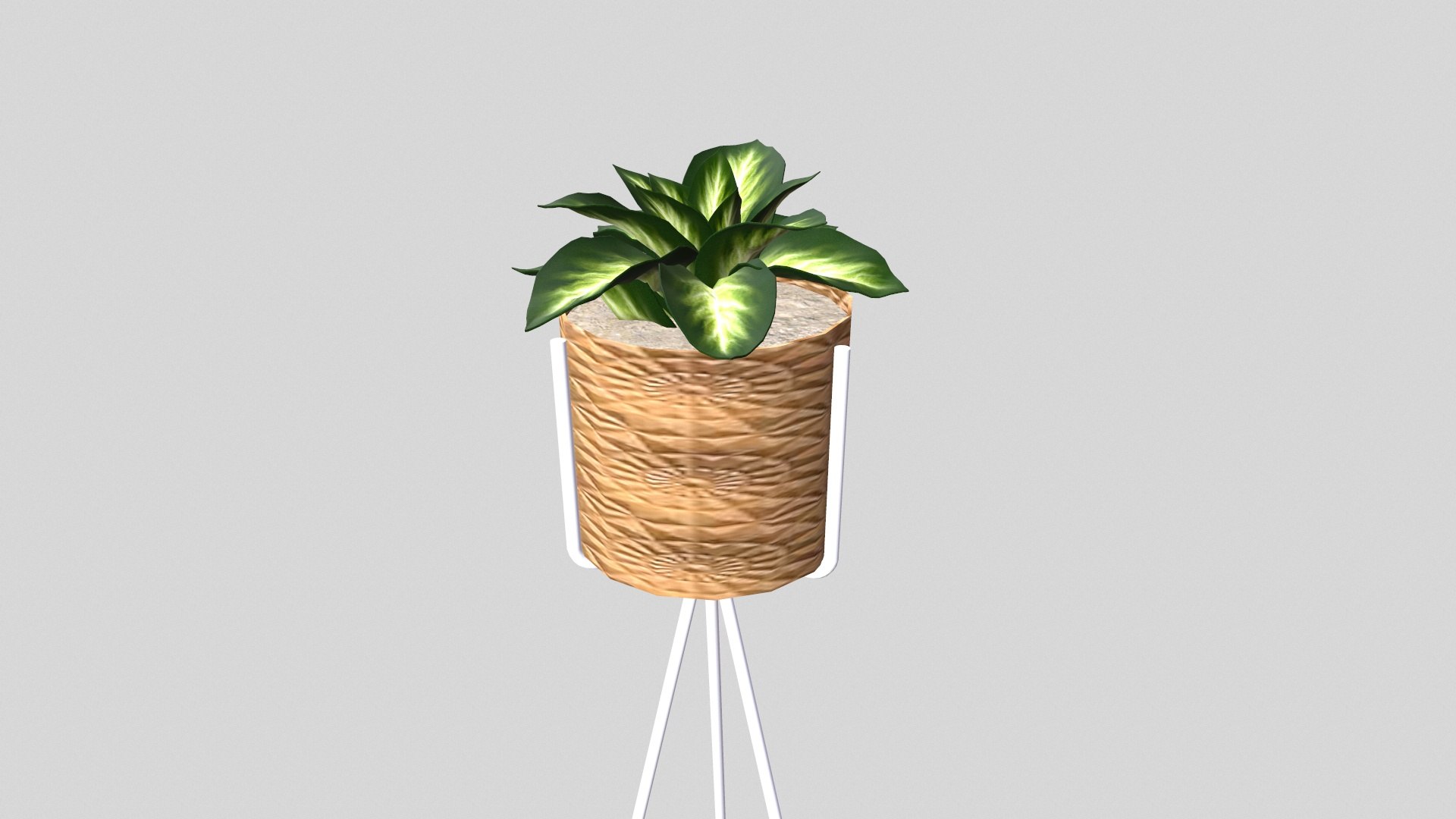 3D HOME DECOR Flower Basket - TurboSquid 2339446