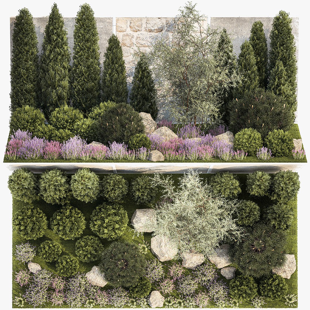 3D Garden With Alpine Slide Bushes Of Thuja And Lavender 1265 Model ...