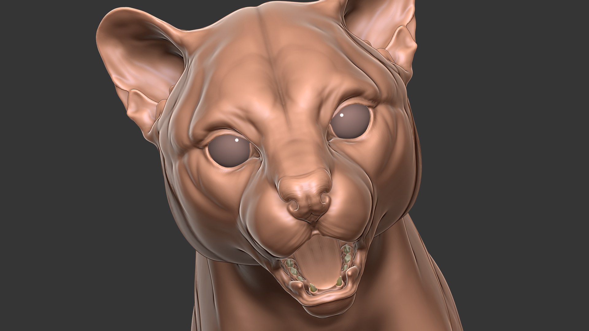 Ocelot Cat Primary Forms Zbrush Sculpt 3D Model - TurboSquid 1817906