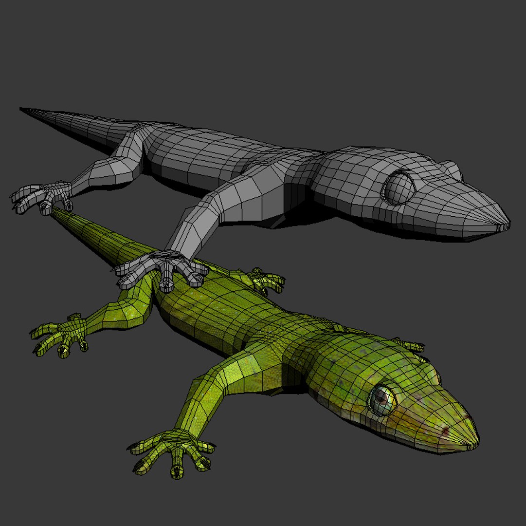 3d Model Green Lizard