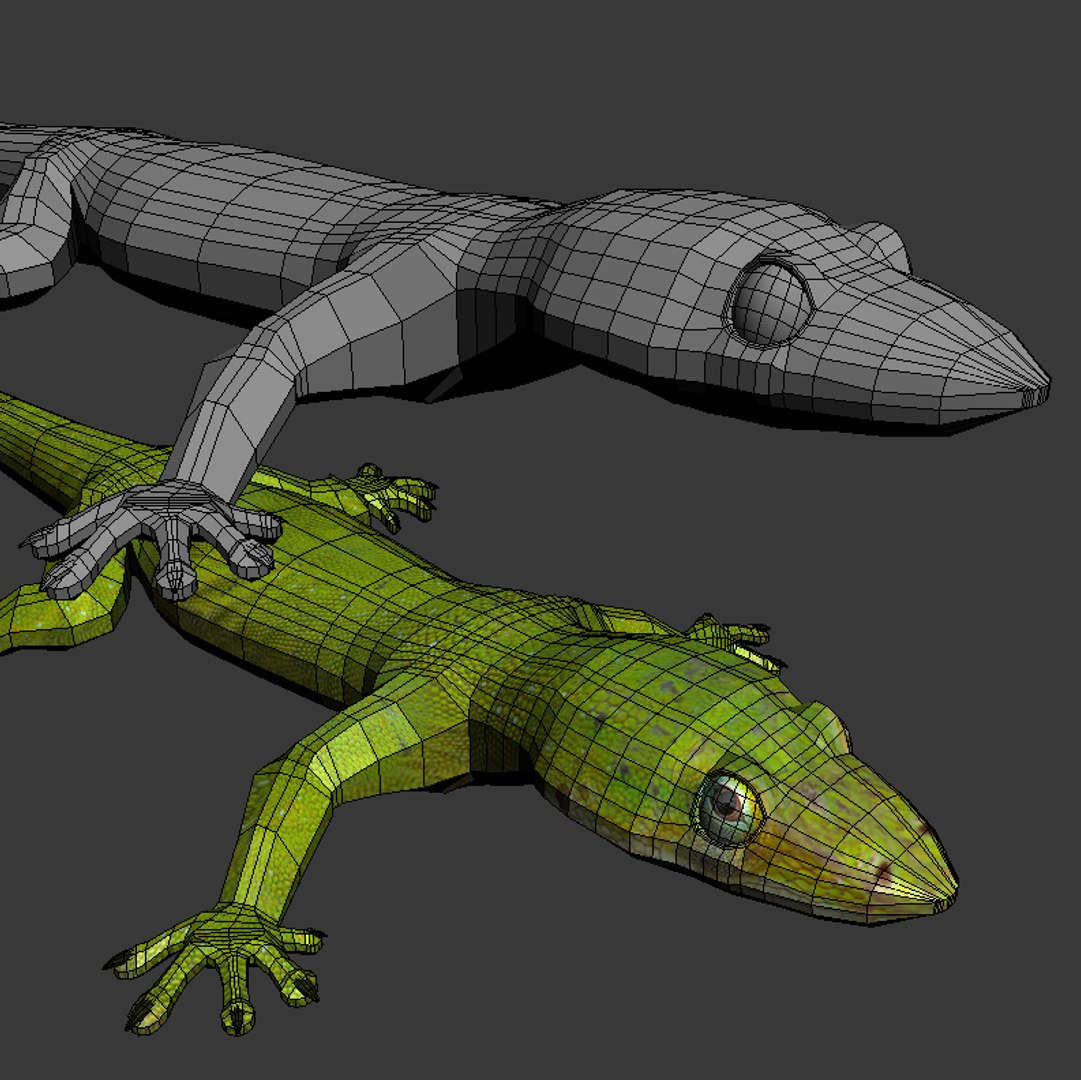 3d Model Green Lizard