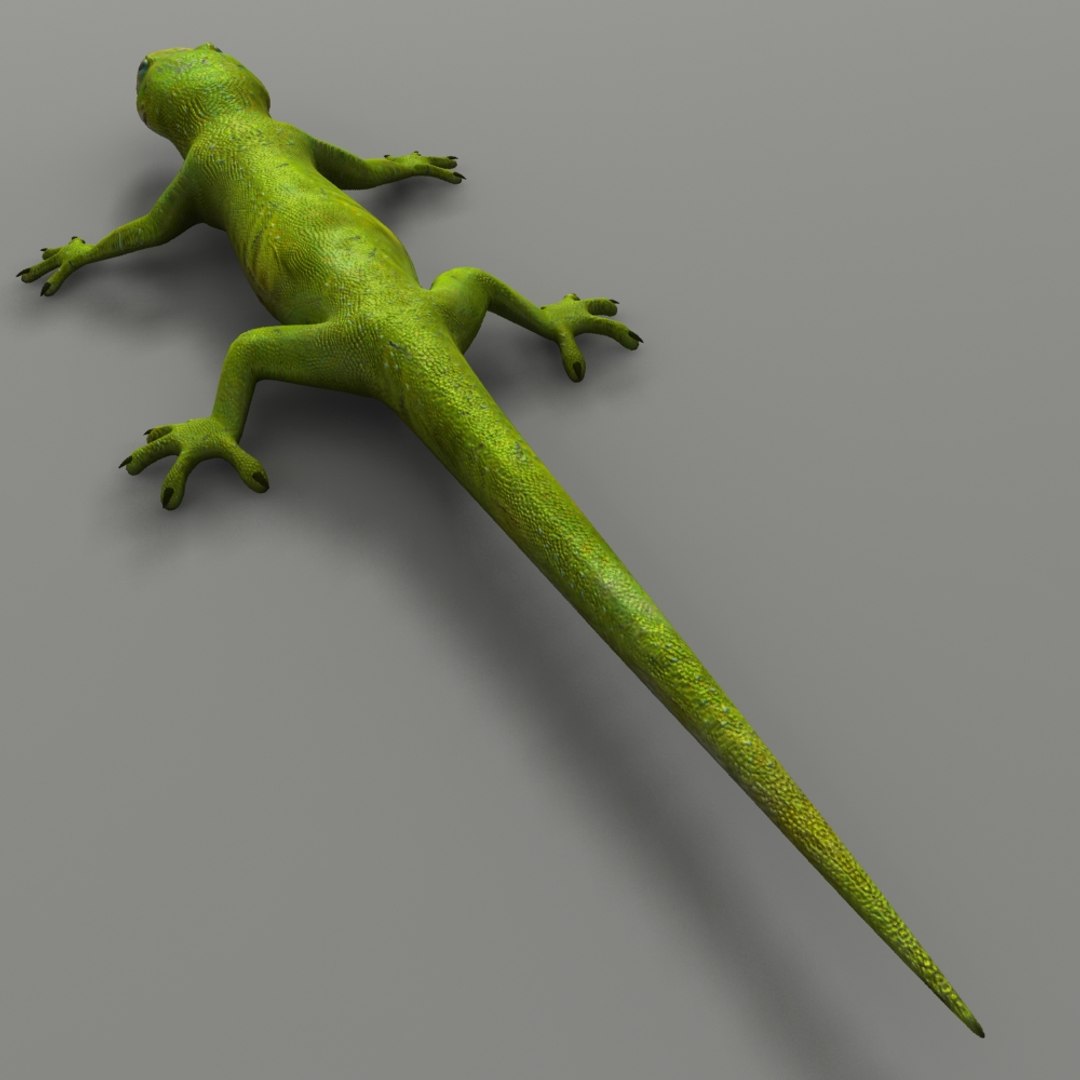 3d Model Green Lizard