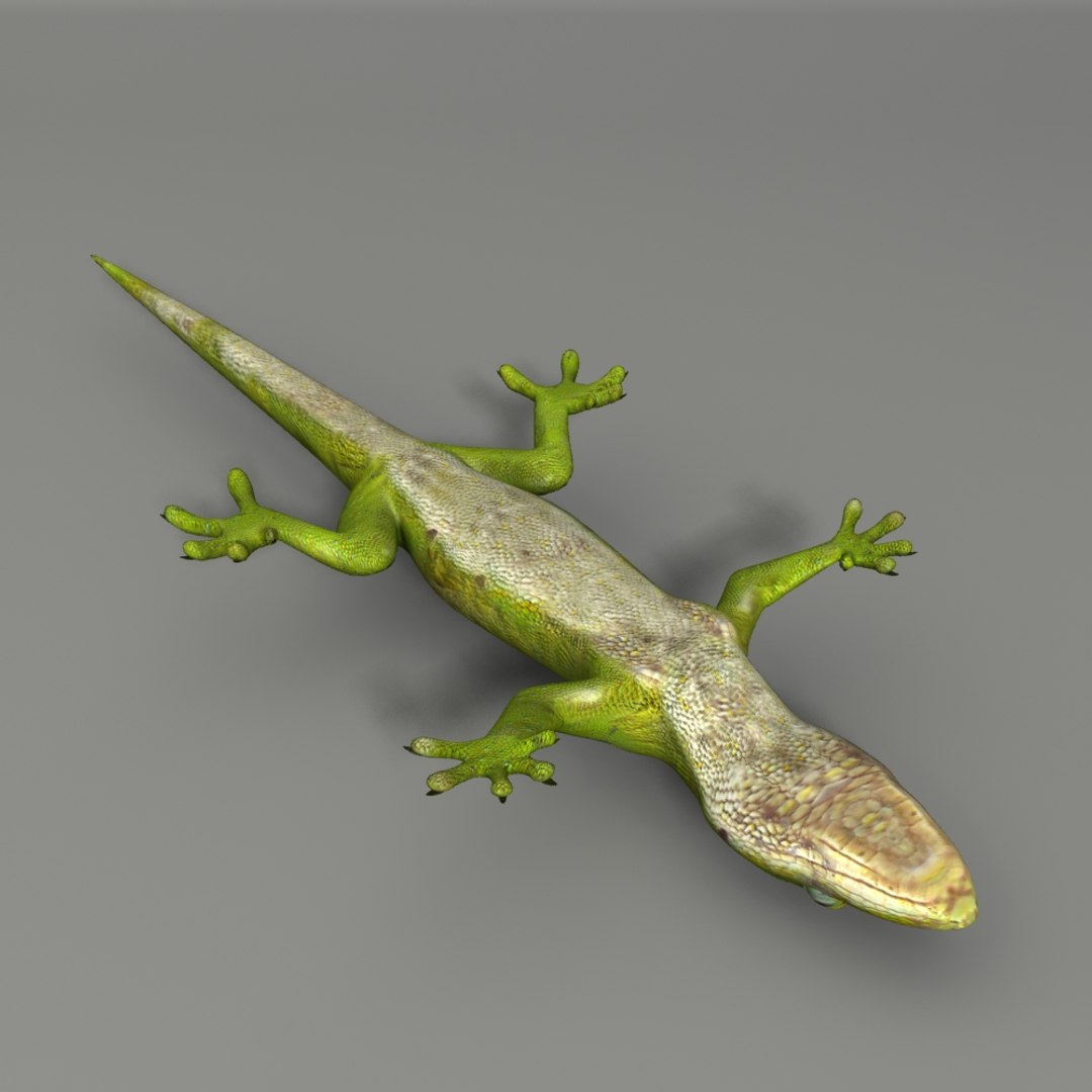 3d Model Green Lizard