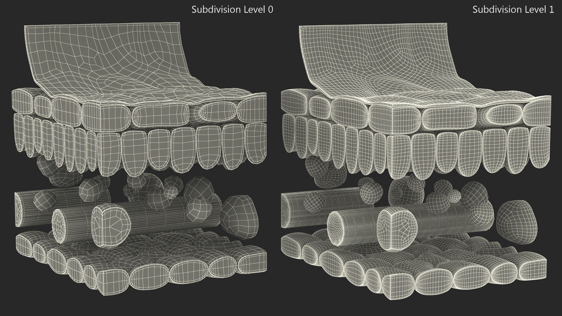 Plastic Model Of Leaf Anatomy 3D Model - TurboSquid 2252645