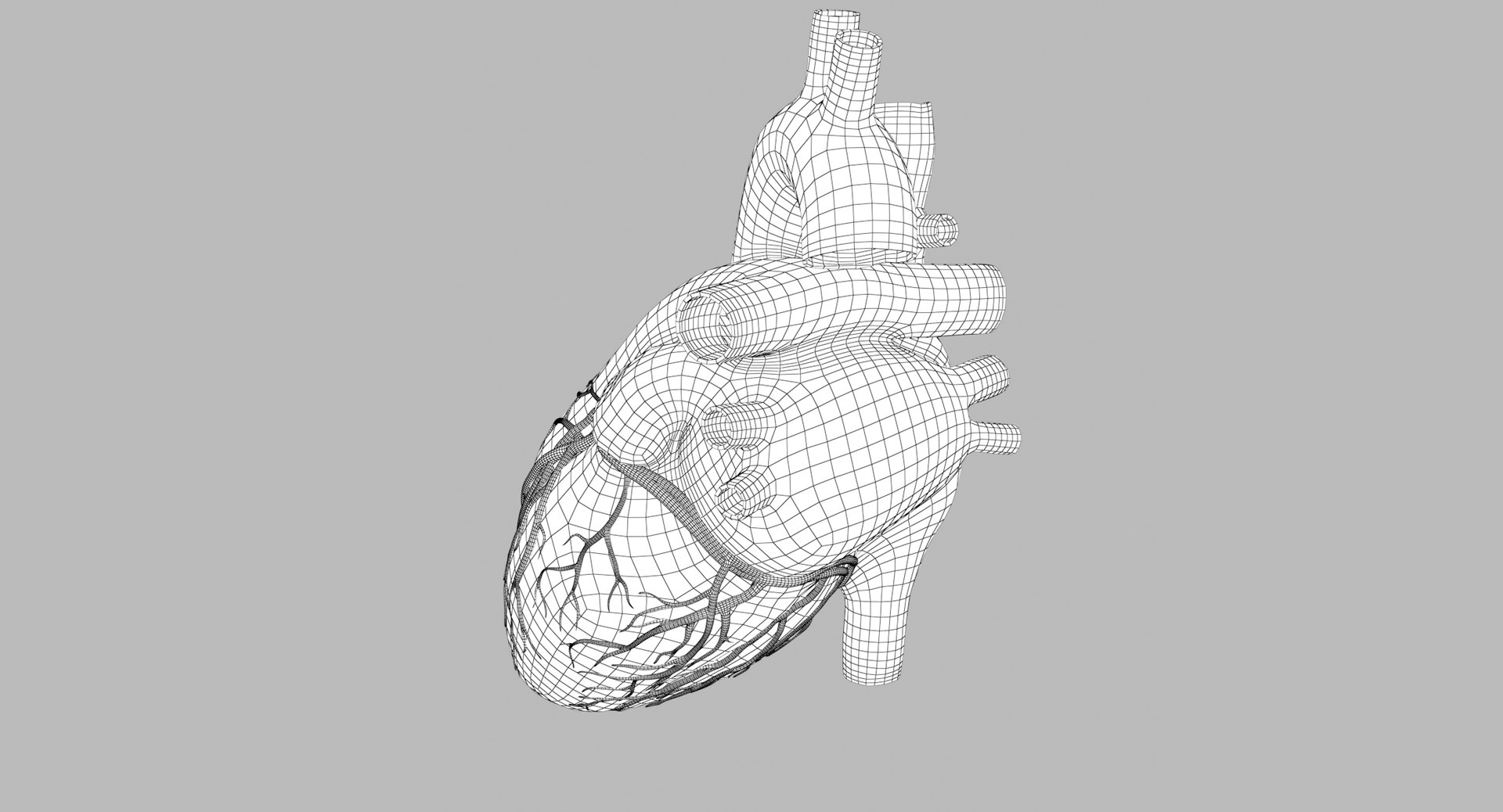 Human Heart Model - TurboSquid 1291876