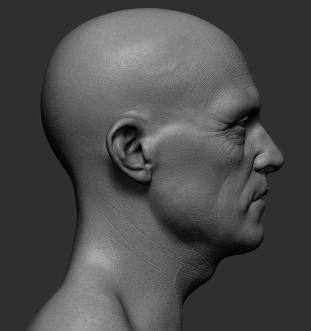 3D realistic head model - TurboSquid 1314732