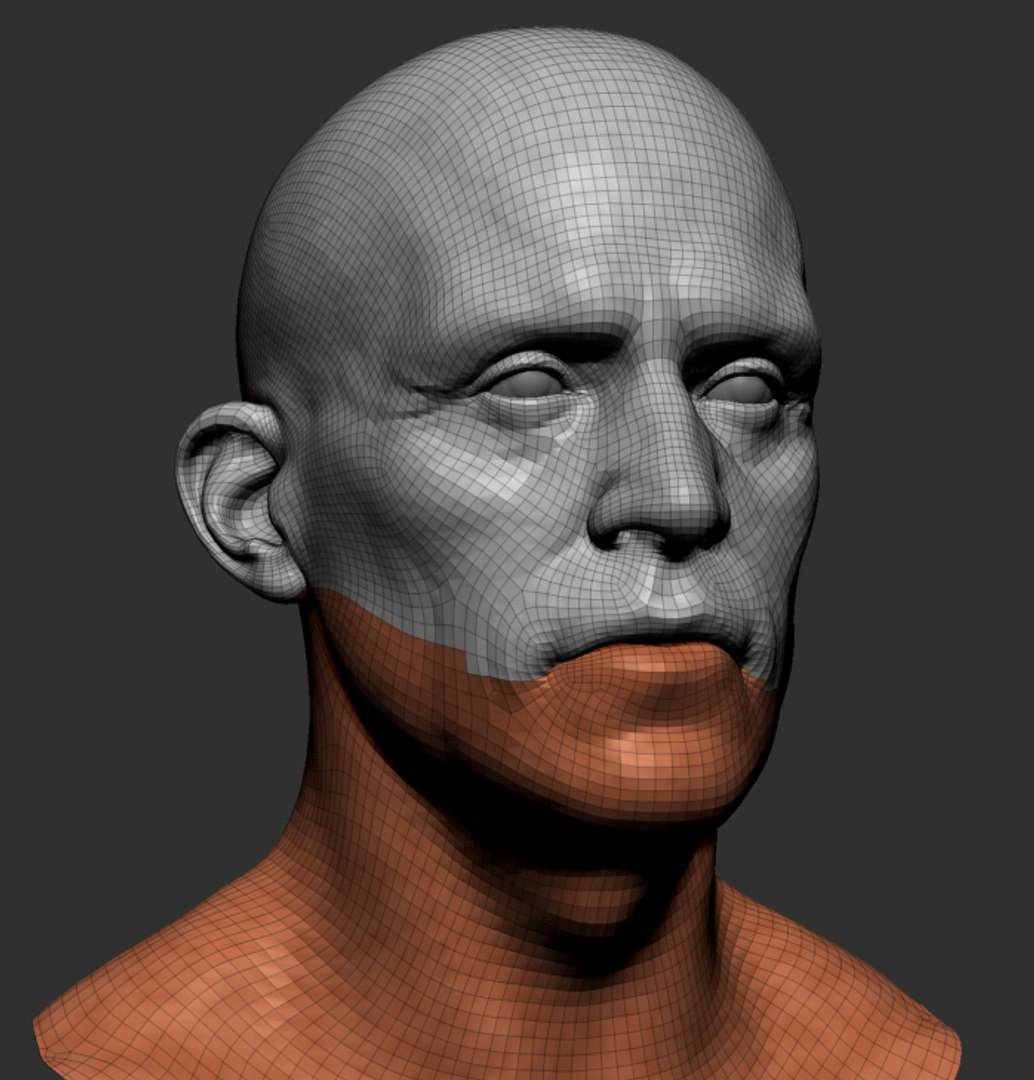 3D realistic head model - TurboSquid 1314732