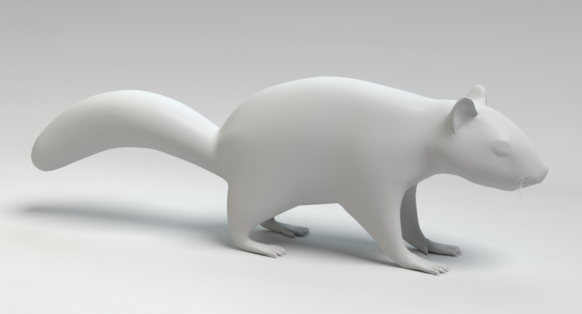 Squirrel Animations 3D - TurboSquid 1188880