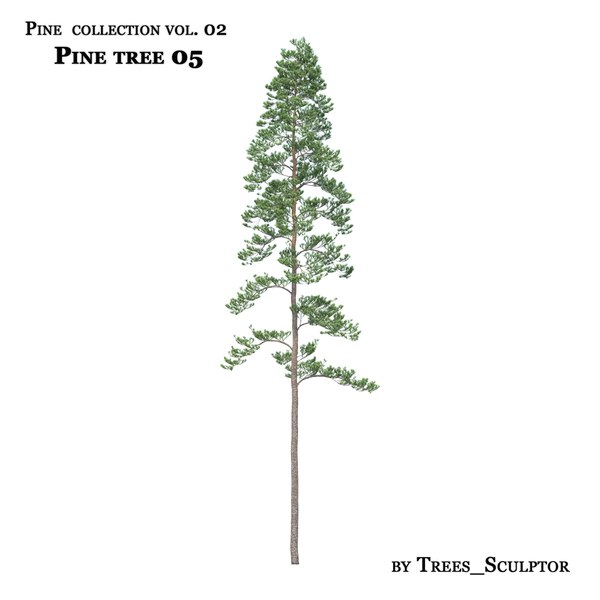 3d pine tree model