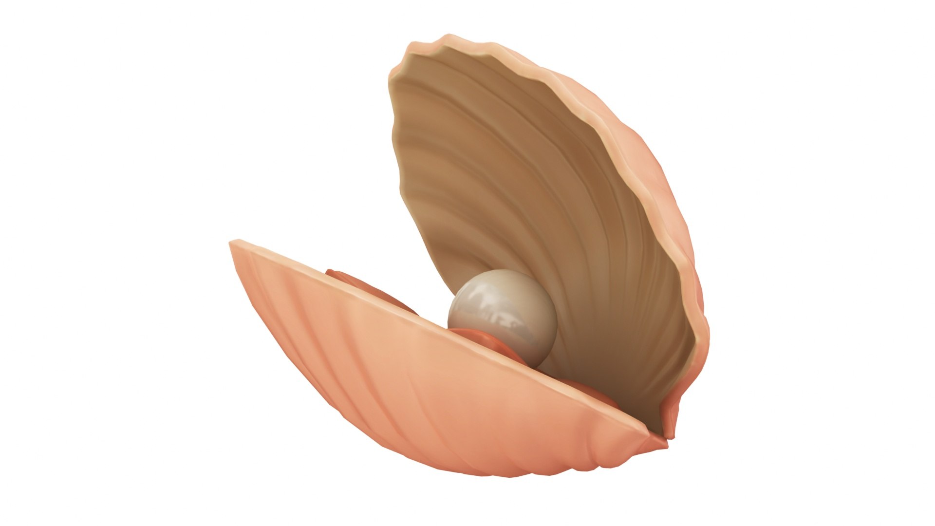 Cartoon Sea Star And Sea Shells Collection 3D - TurboSquid 2090010