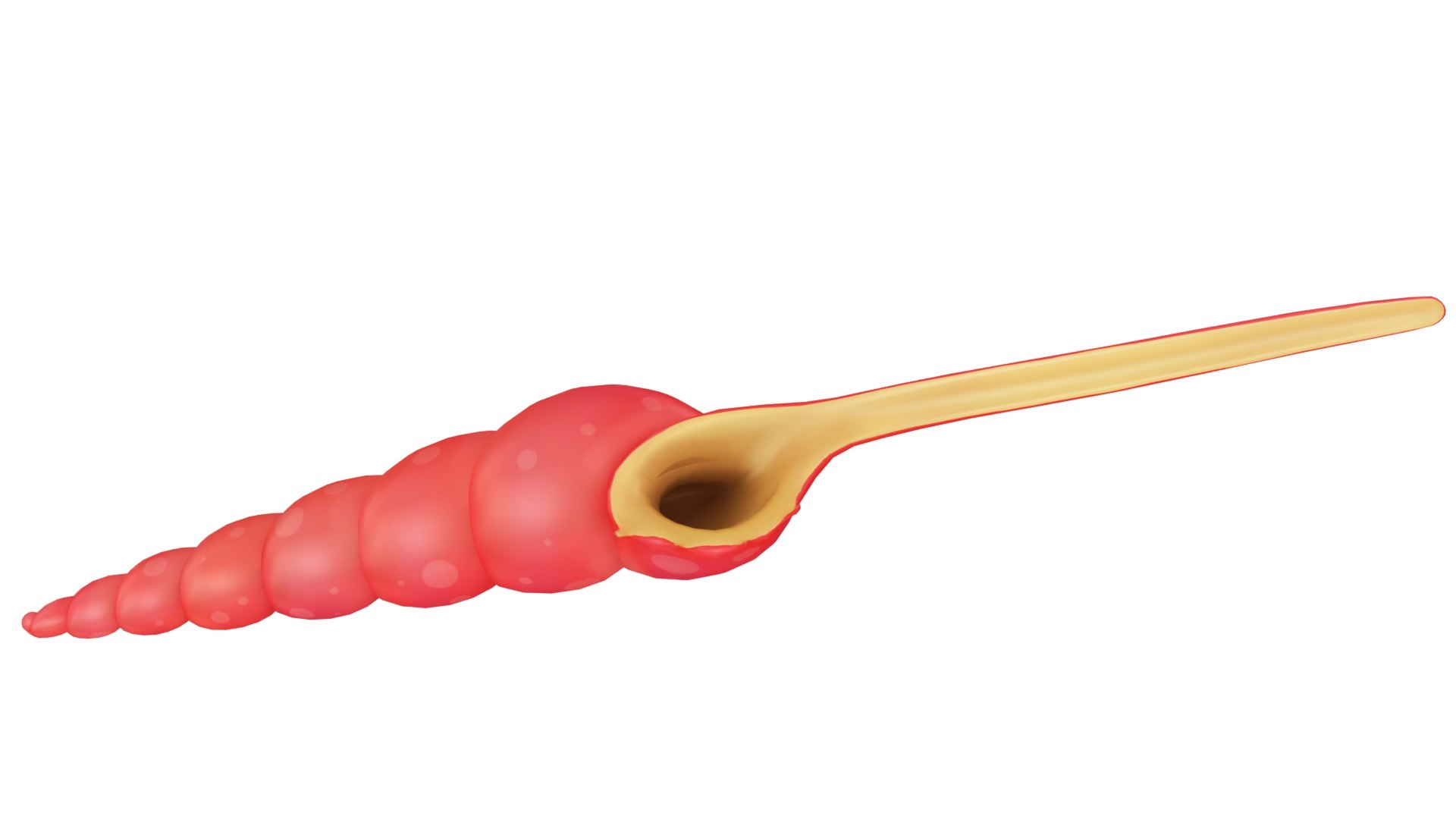 Cartoon Sea Star And Sea Shells Collection 3D - TurboSquid 2090010