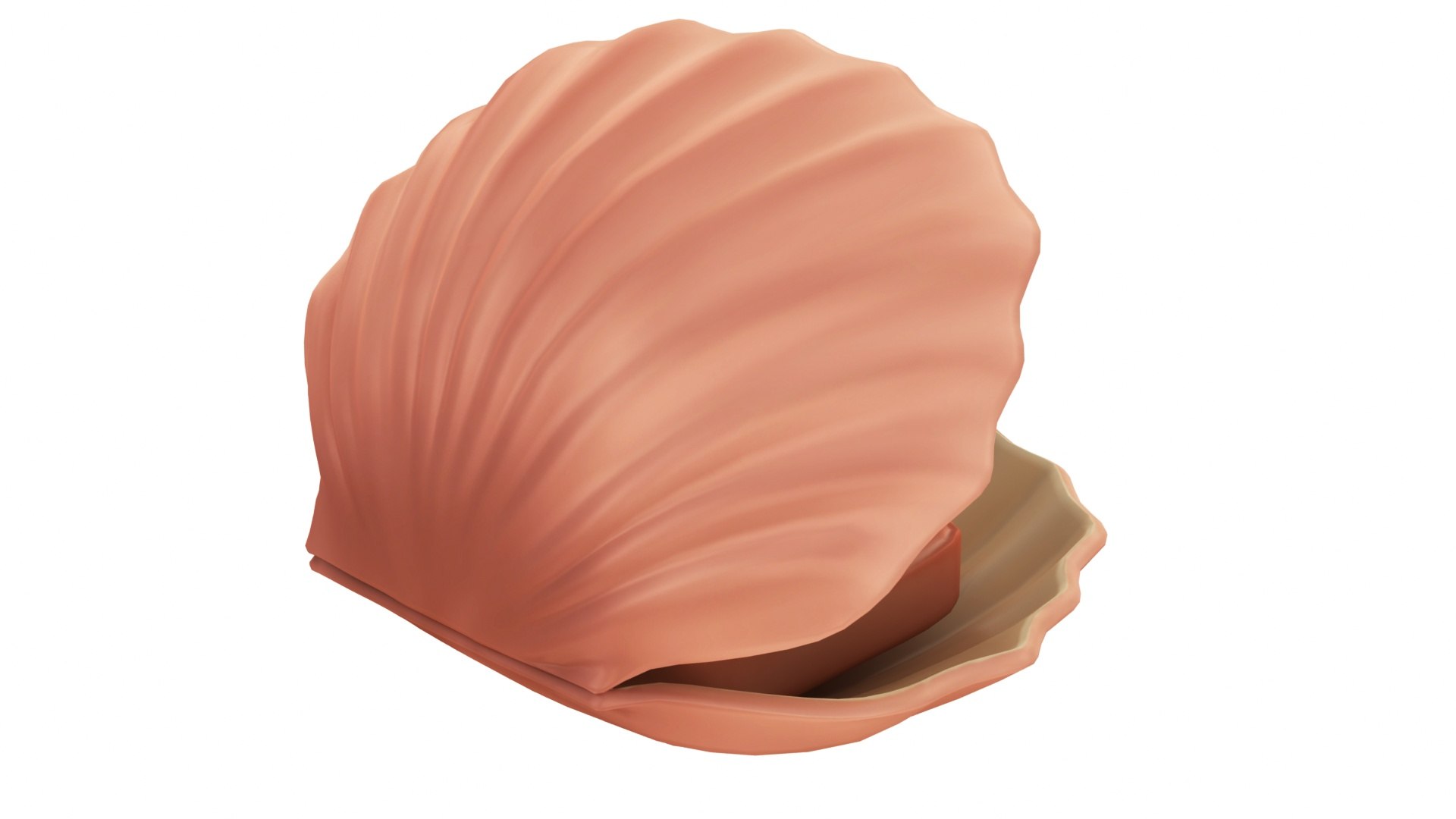 Cartoon Sea star and Sea Shells Collection 3D - TurboSquid 2090010