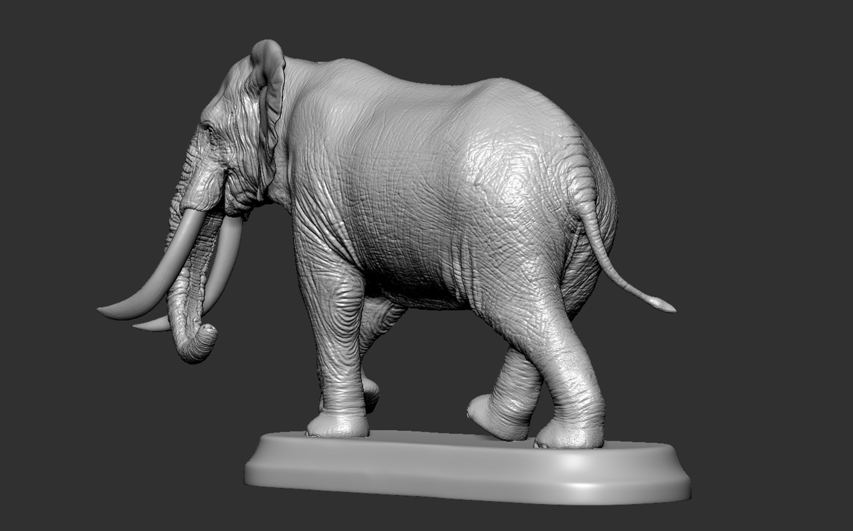 Elephant 3D Model - TurboSquid 1938696