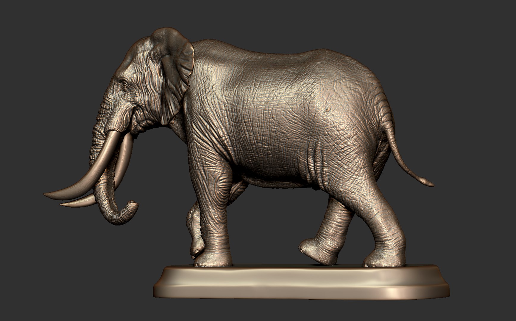 Elephant 3D Model - TurboSquid 1938696