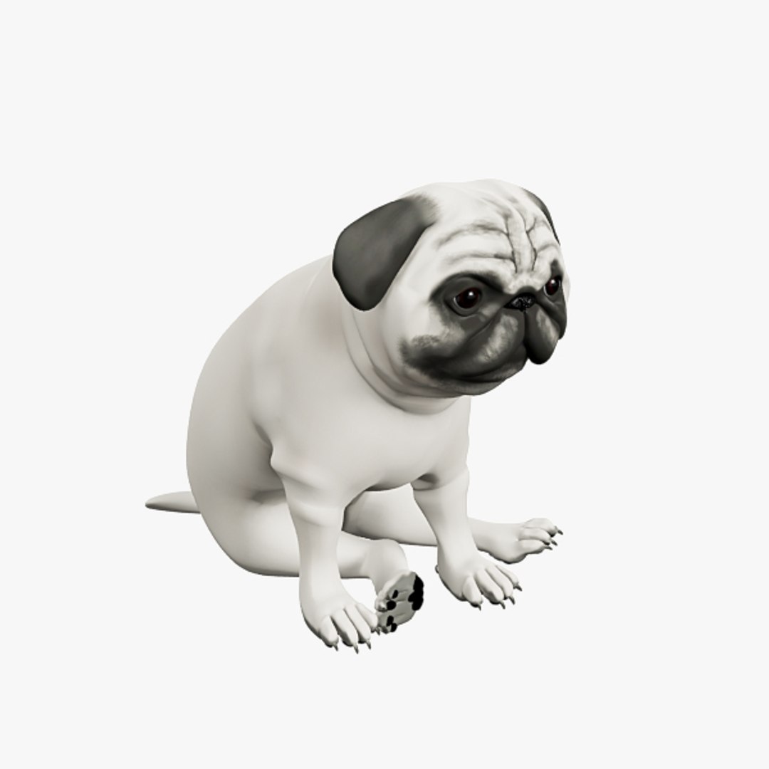 3D Pug 02 - TurboSquid 1284651