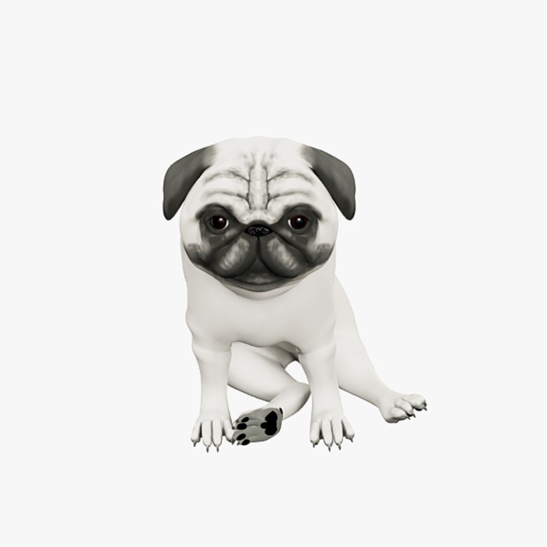 3D Pug 02 - TurboSquid 1284651