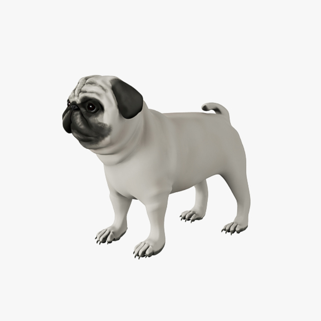 3D Pug 02 - TurboSquid 1284651