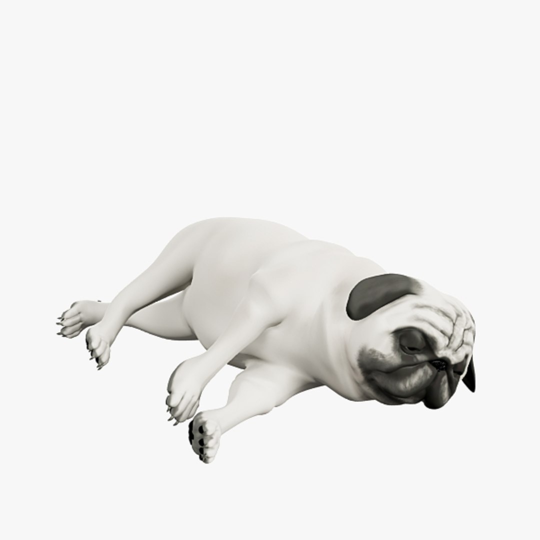 3D Pug 02 - TurboSquid 1284651
