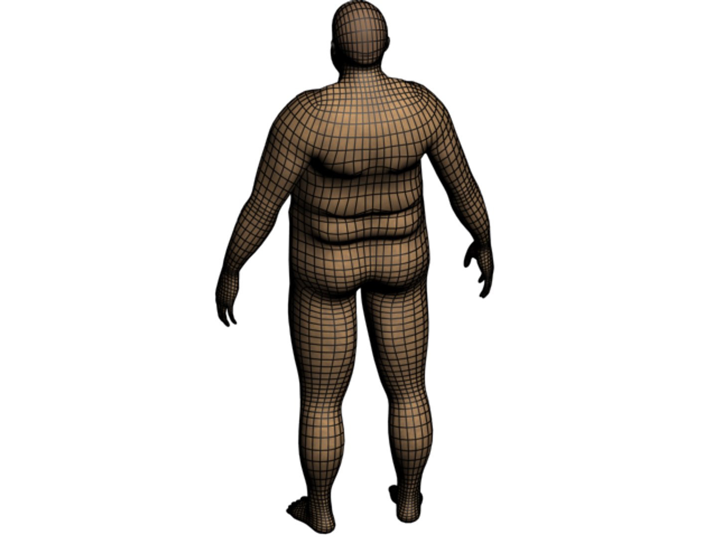 3d model fat fighter