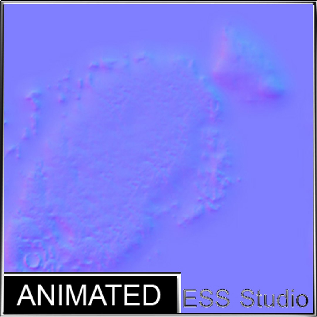 Tropical Fish 3d Model