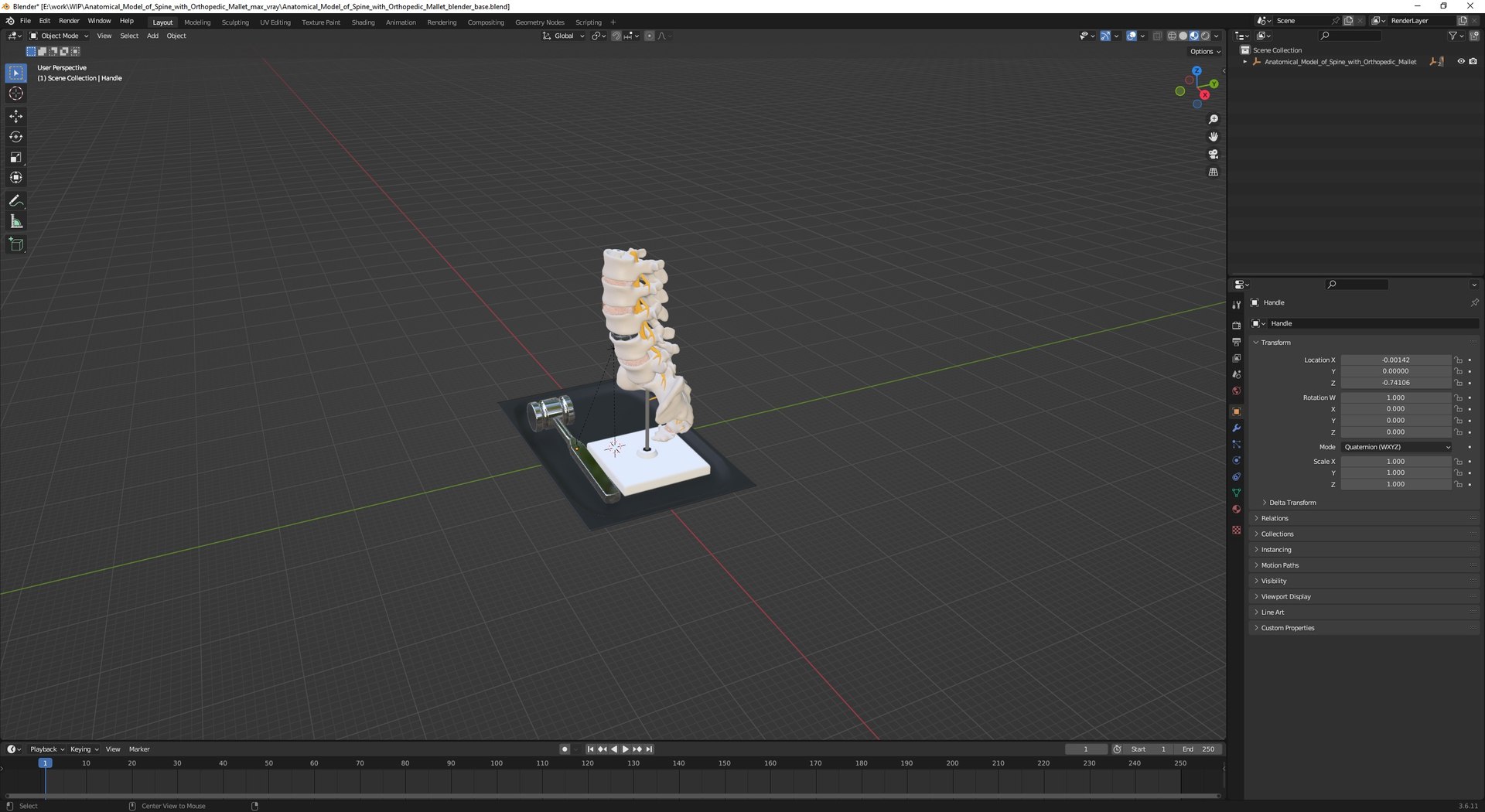 Anatomical Model Of Spine With Orthopedic Mallet Model - TurboSquid 2390087